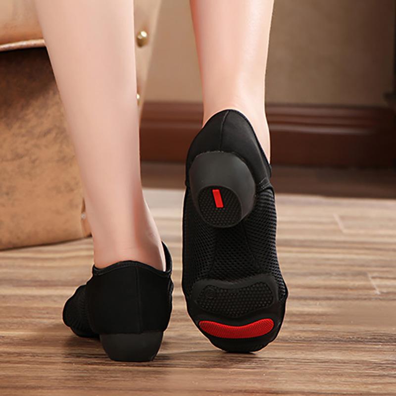 Buy Teaching Practice Dance Shoes For Women And Men Online ...
